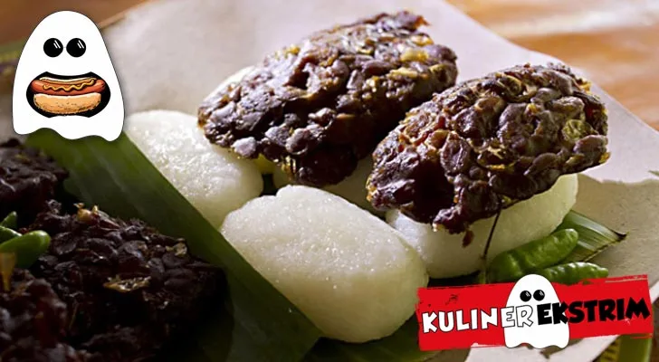 Kuliner Ekstrim Tempe Benguk Khas Kulonprogo