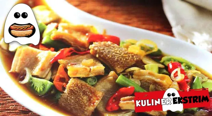 Rekomendasi Masakan Olahan Babat